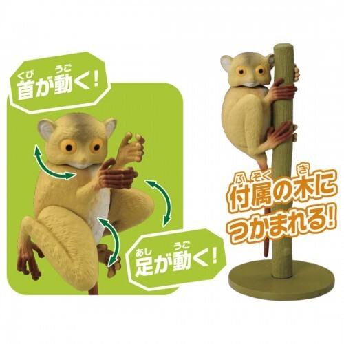 BUY 3 GET 1 FREE (Add 4)Takara Tomy Ania Animal AS-27 Tarsier Action ...