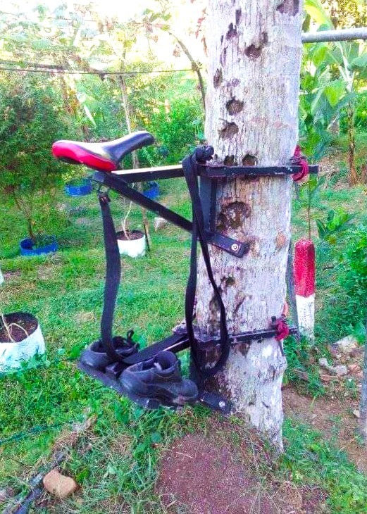 EASY TREE CLIMBER CLIMBING MACHINE TOOL with 100% SAFETY and HIGH ...