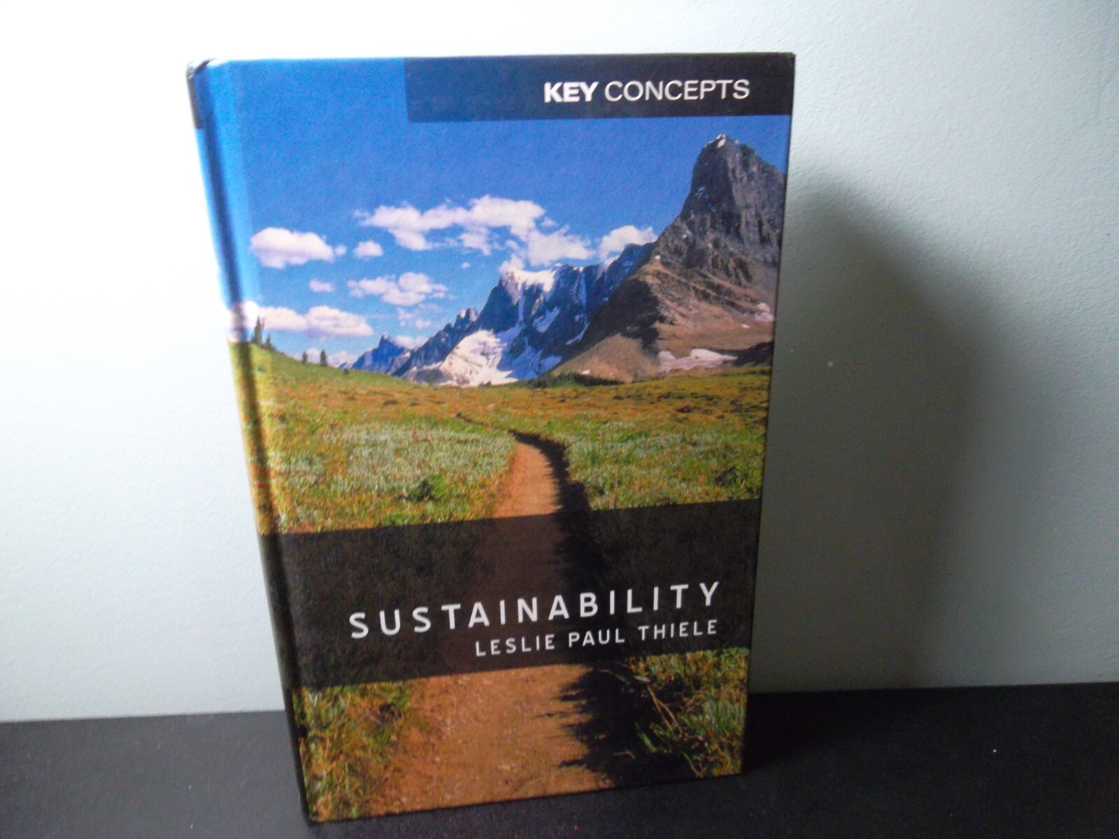 Key concepts Ser.: Sustainability by Leslie Paul Thiele (2013 ...