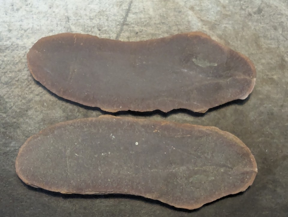 Mazon Creek Fossil Tully Monstrum , Large eye bar, Pit 11 ex MWF ...