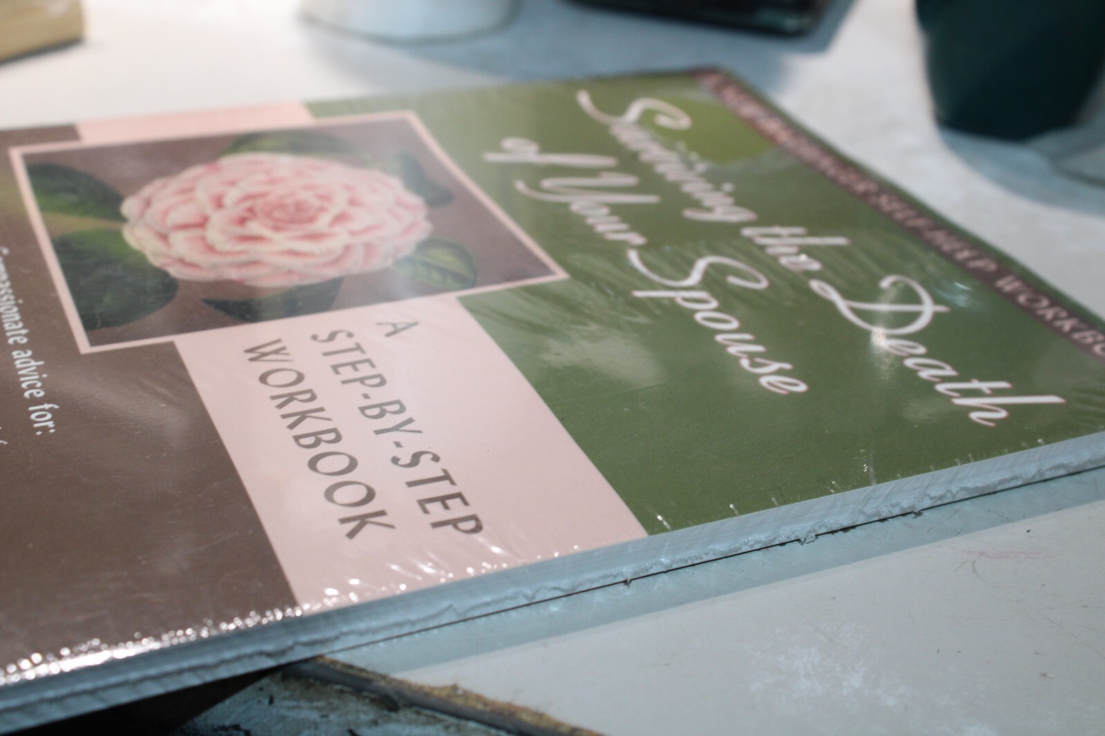 Surviving the Death of Your Spouse : A Step-by-Step Workbook by Deborah ...