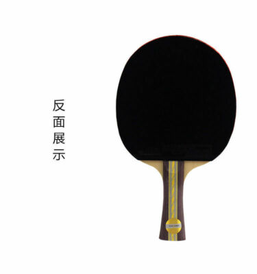 Decent DHS 3002 Long handle (shakehand) Ping Pong Racket Table Tennis ...