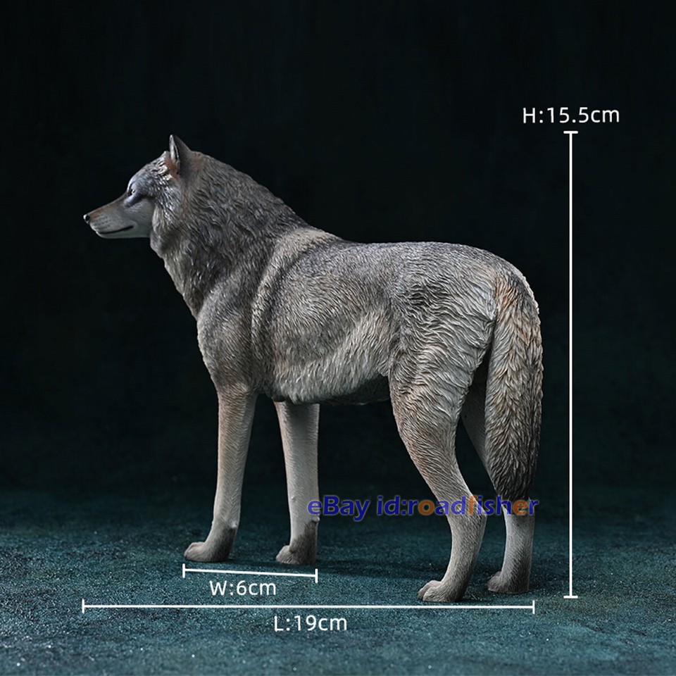 JXK 1/6 Arctic Wolf Model Canis Lupus Arctos Figure Wild Animal Decor ...
