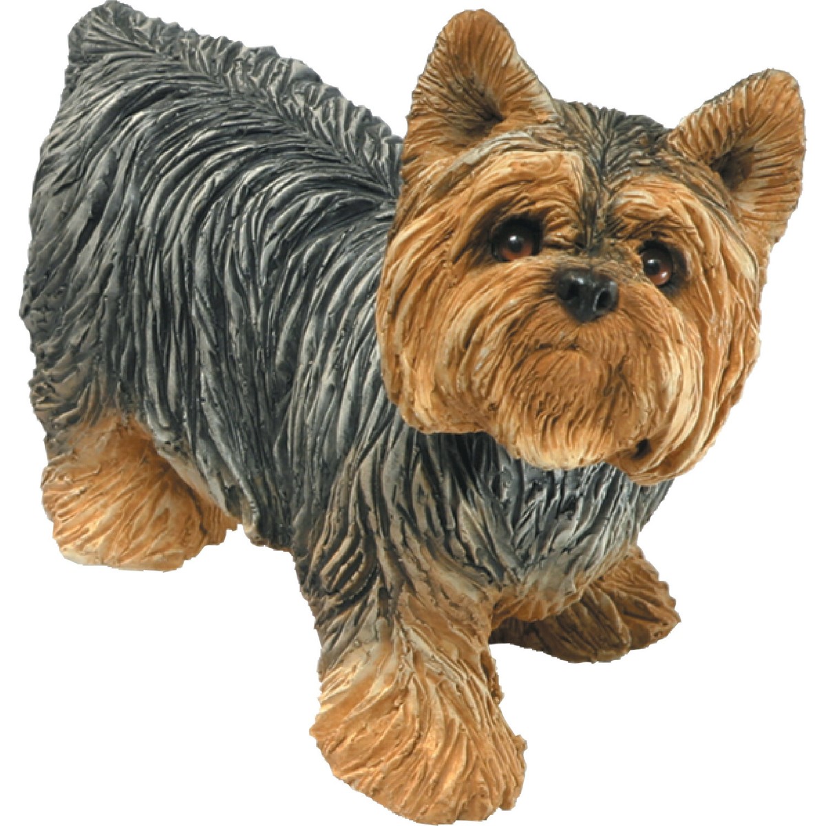 Yorkshire Terrier Ebay