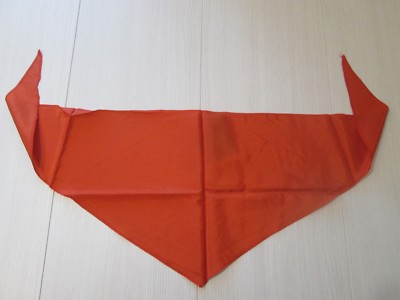 Soviet Union Pioneer scarf USSR Russia Original | eBay