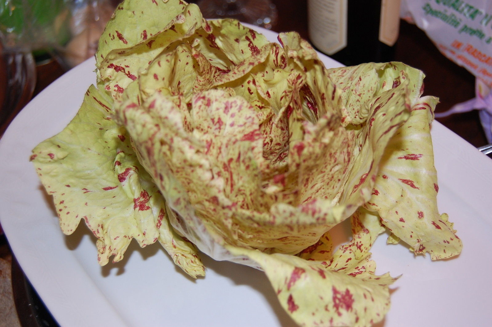 Radicchio Variegata di Castelfranco - Chicory - 20+ seeds - Semillas ...