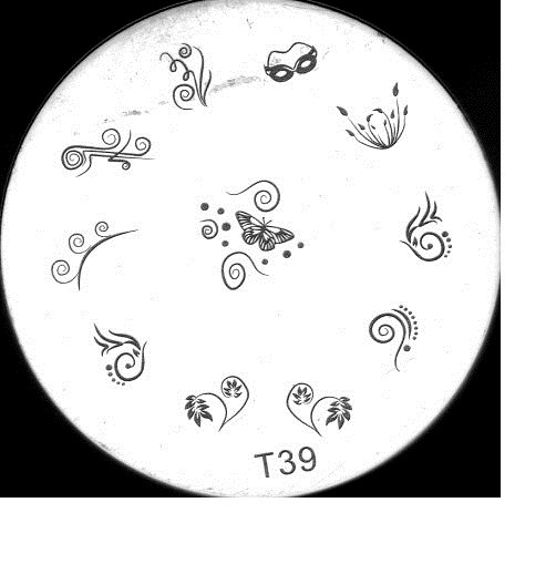 T Stamping Series Nail Art Image Stamp Template Plate 2 | eBay