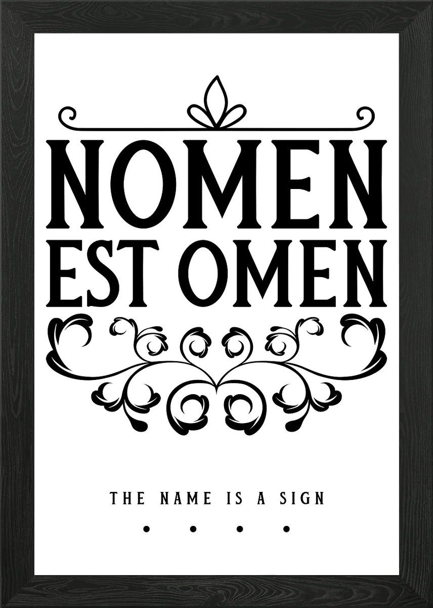 Nomen Est Omen Framed Wall Art Poster Canvas Print Picture | eBay UK
