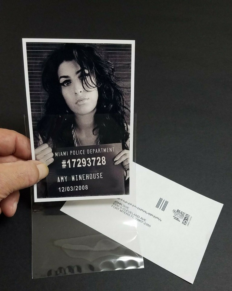 Tim Allen Mug Shot High quality 4" x 6" Photo Reproduction | eBay