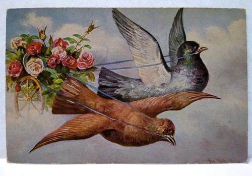 Flying Birds Fantasy Postcard Carry Rose Filled Cart Through Sky 1908 ...