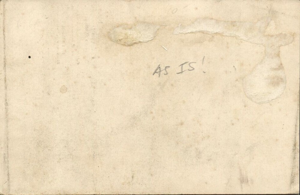 argentina, Indio Caduveo, Mbayá, Rio Nabiléque, Indian Male (1900s ...