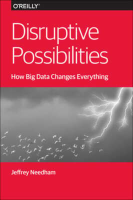 Disruptive Possibilities: How Big Data Changes Everything by Jeffrey ...