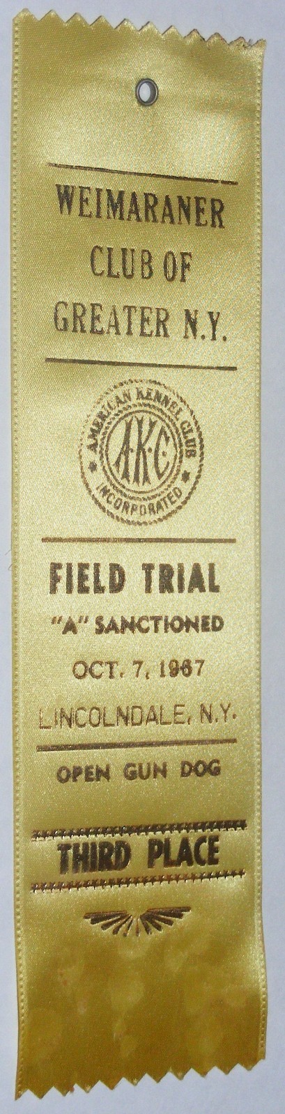 Vtg 1967 Weimaraner Show Ribbon AKC Gun Dog Field Trial Lincolndale New ...