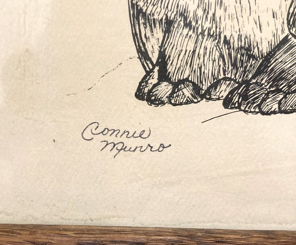 Rabbits Pen and Ink Drawing Print 8x10" Connie Munro 10.75x12.75 ...