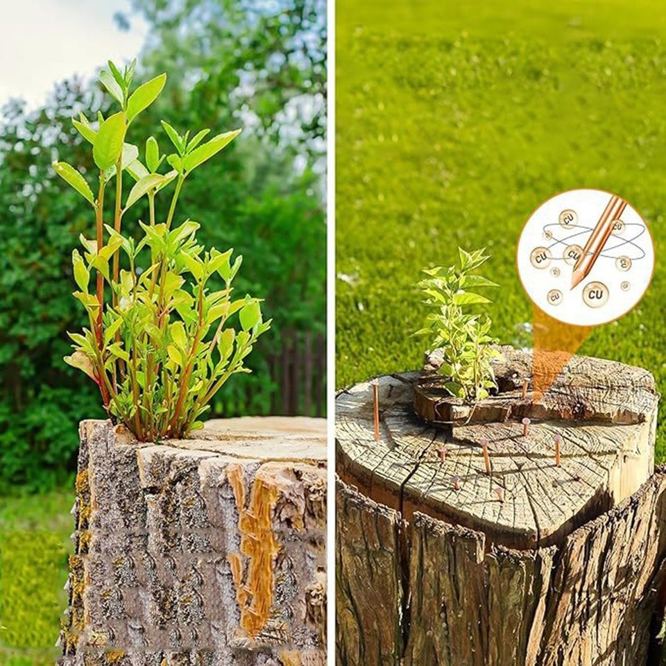 Tree Killing Nails 4 Inch Copper Nails for Efficient Stump and Root ...