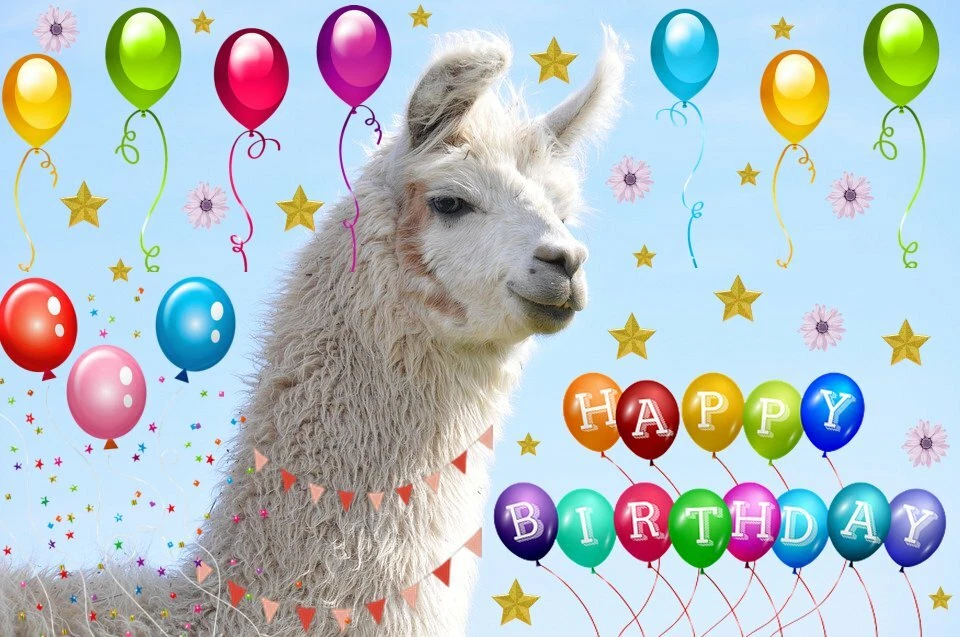 Happy Birthday Alpaca