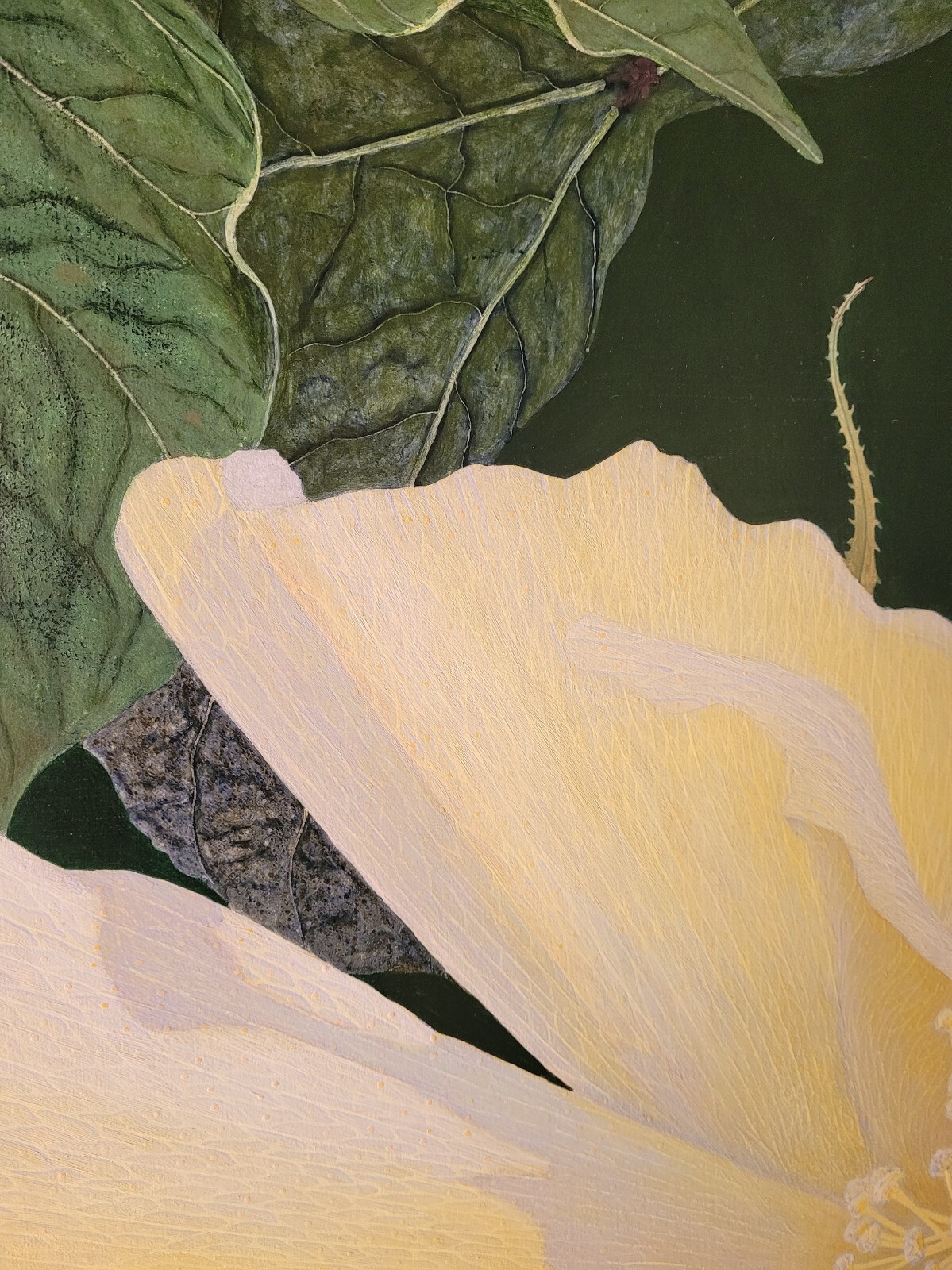 Carl D. Clapp, Farmer / Artist “Cotton Flower” Original Painting | eBay