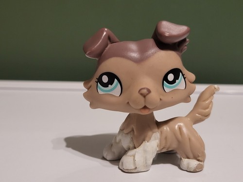 LPS #1330 LITTLEST PETSHOP ORIGINAL AUTHENTIQUE CHIEN COLLEY DOG COLLIE ...