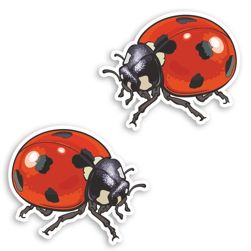 2 x 10cm Red Ladybird Vinyl Stickers - Ladybug Insect Fun Laptop ...