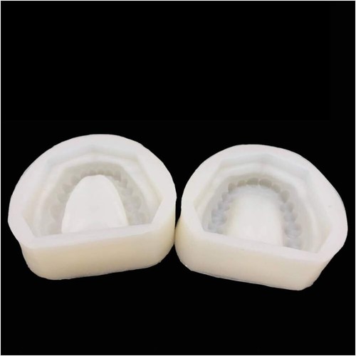 a pair Teeth Model Education Standard Dented Silicone Female Mold ...