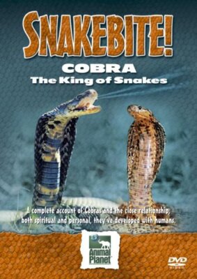Snakebite! - Snake Bite - Cobra The King Of Snakes [DVD] - DVD W0VG The ...