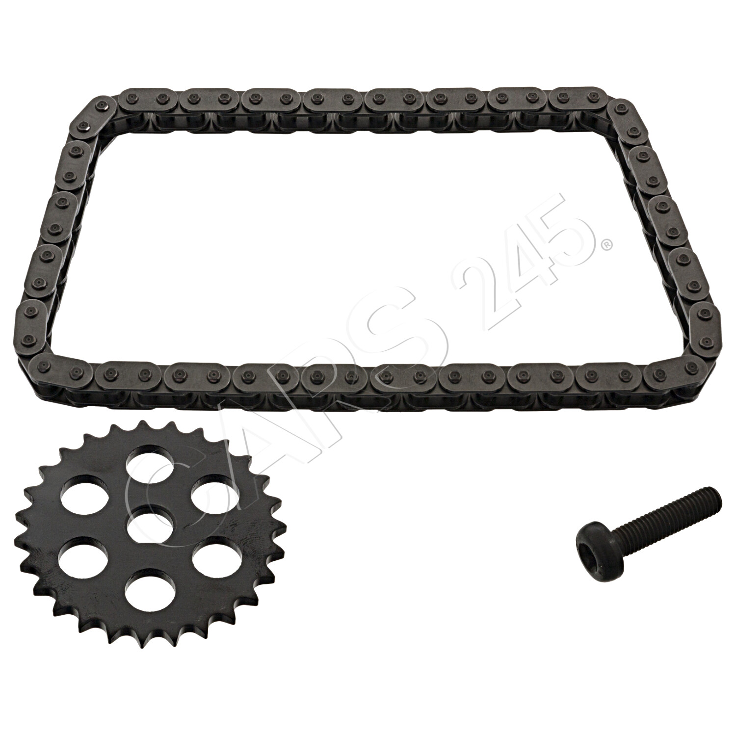 SWAG Oil Pump Drive Chain Set For BMW MINI X1 Clubman Countryman SE ...