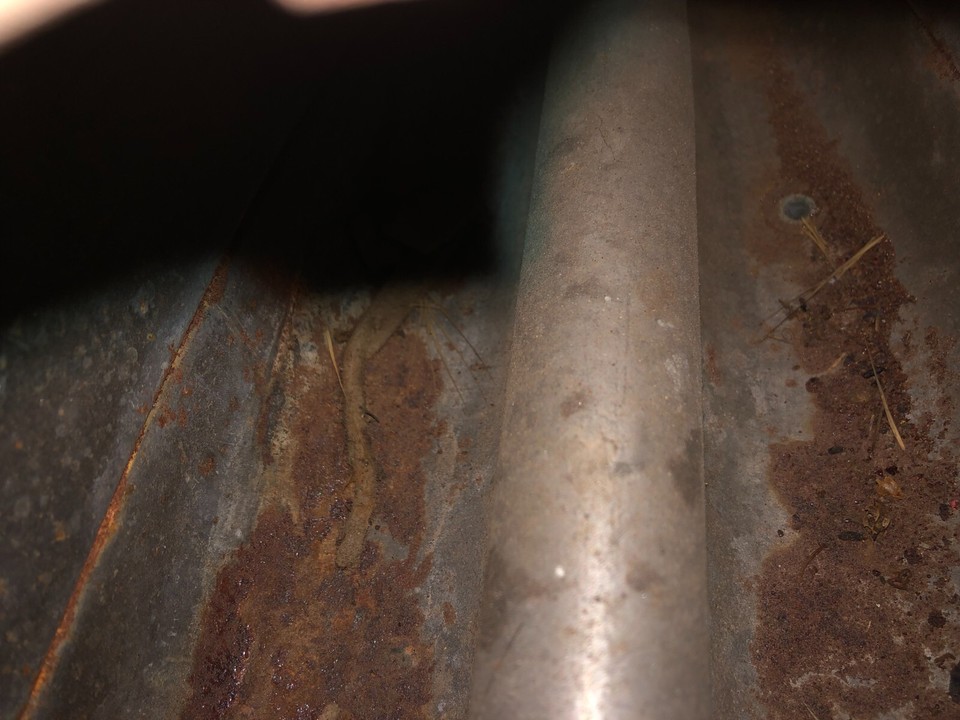 Whizzer Motorcycle Embossed Gas Tank | eBay