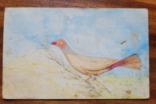 Hand Painted Game Bird 1914 Postcard to W. A. Carlin, HMS Proserpine ...