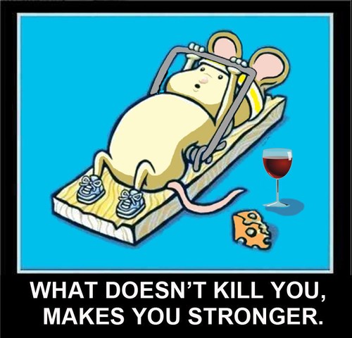 MOUSE WORKING OUT IN MOUSETRAP WHAT DOESN'T KILL YOU MAKES YOU STRONGER ...