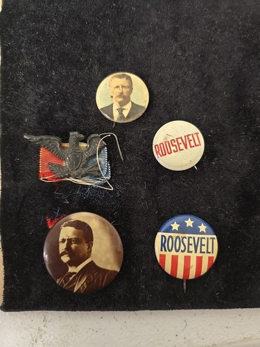 Lot Of Original Vintage Theodore Teddy & Franklin Roosevelt Pinback ...