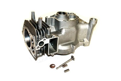 Tecumseh Parts CYLINDER 36169 Engine TE-36169 | eBay