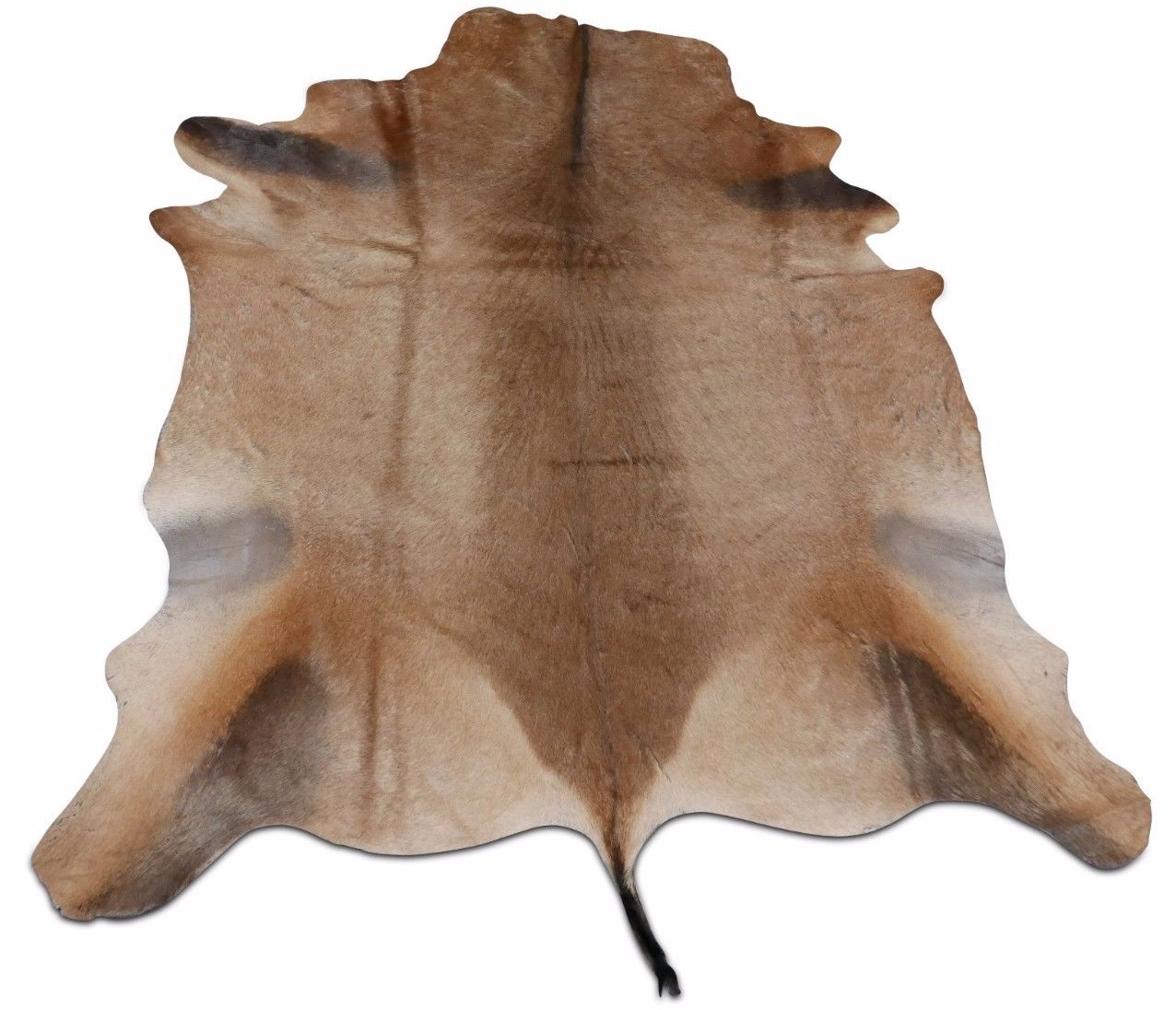 Red Hartebeest skin - African Deer Skin - Deer Hide Rug - Antelope Rug ...