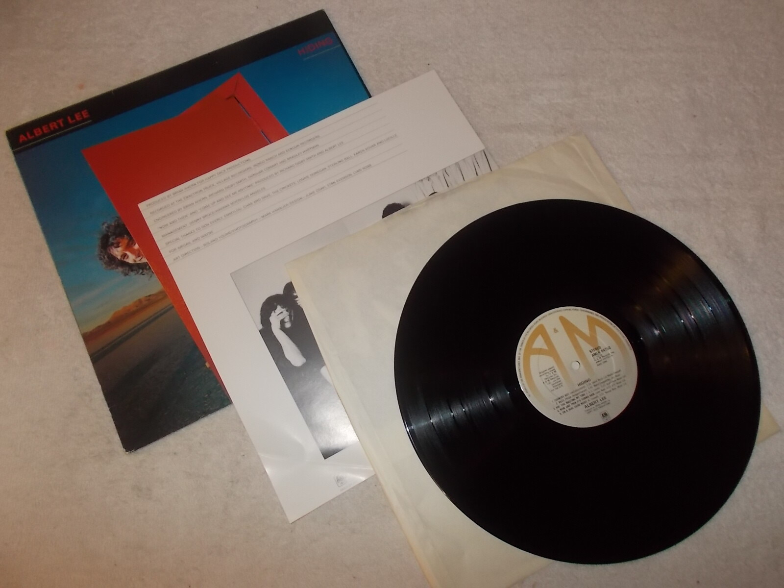 Vinyl 12 inch LP Record Album Albert Lee Hiding 1979 | eBay