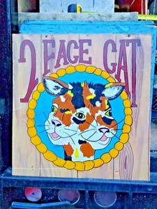 FREAK Show,SIDESHOW SIGN,CIRCUS,Wood,HAND PAINTED,Oddity,Advertising ...