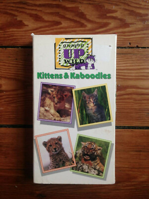 Growing Up Wild: Kittens & Kaboodles [VHS] 1992 edutainment | eBay