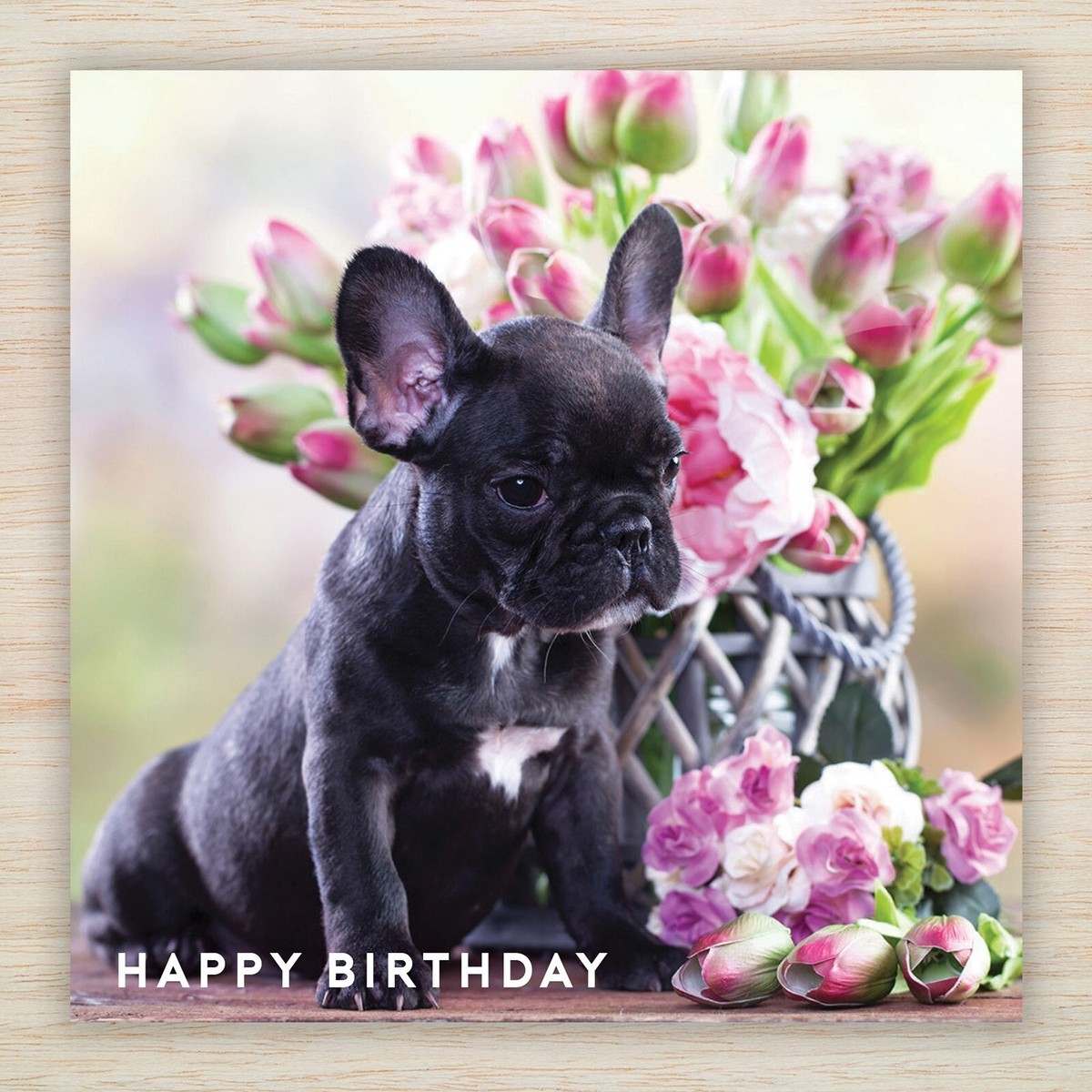 Funny French Bulldog Birthday