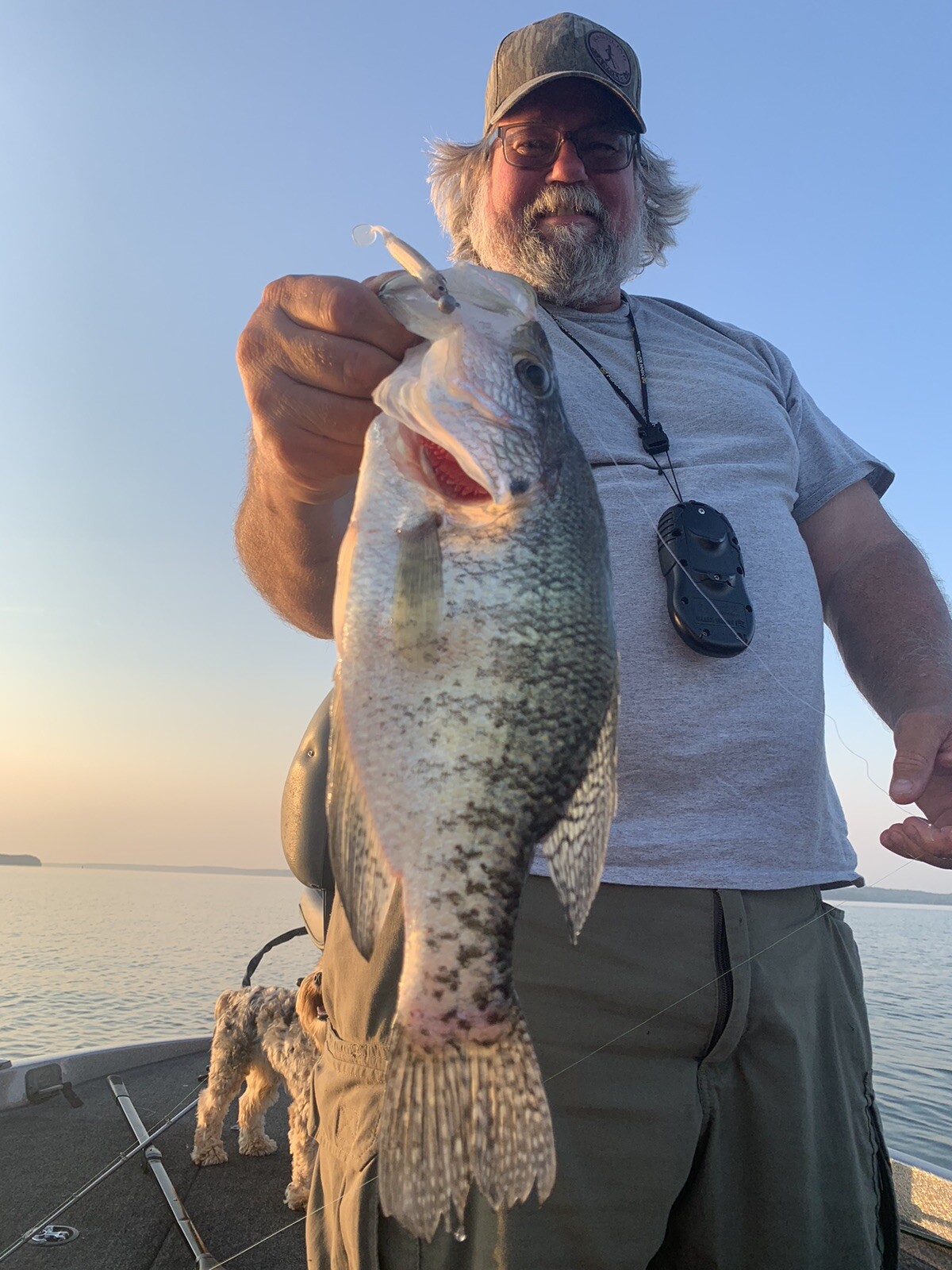 The LiL TUFFY Swimbait-Plastic Bait Made for Crappie The Li'L TUFFY ...