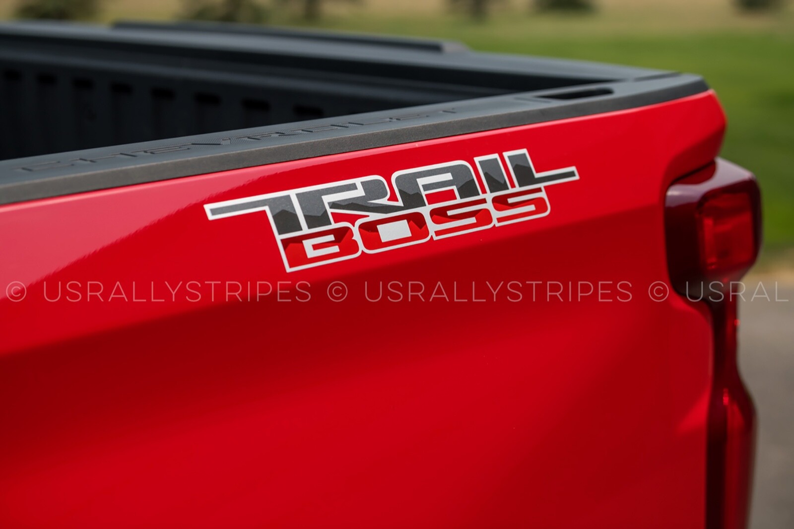 Set of 2: Trail Boss decal for 2019-2020 Chevrolet Silverado GM non OEM ...