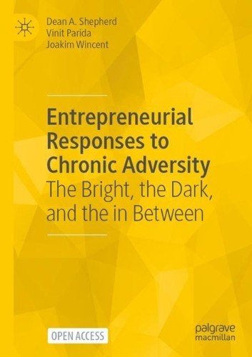 Entrepreneurial Responses to Chronic Adversity : The Bright, the Dark ...