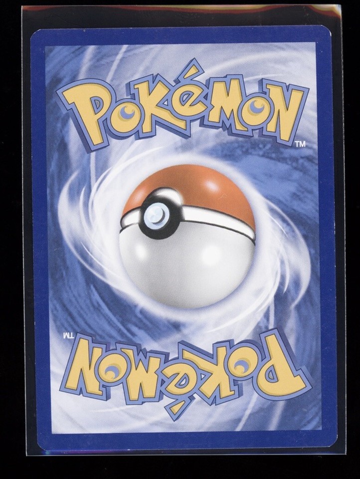 Litten SM02 Sm Promos Holo Pokémon Black Star Promo | eBay