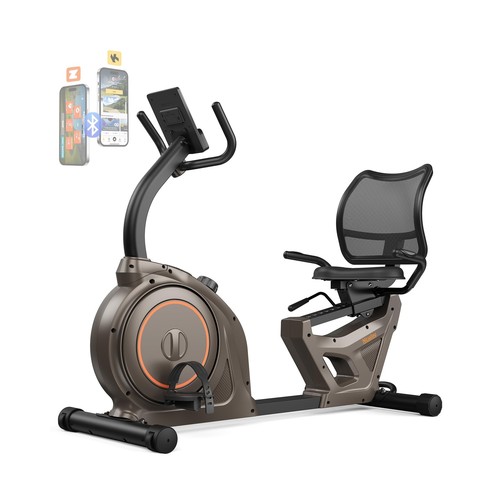 Niceday Recumbent Exercise Bike, Indoor Recumbent Exercise Bike for ...