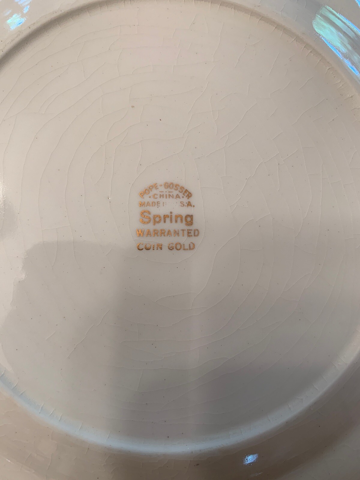 VTG 1940s POPE GOSSER "SPRING" PATTERN 8 1/2" SALAD PLATE-COIN GOLD ...