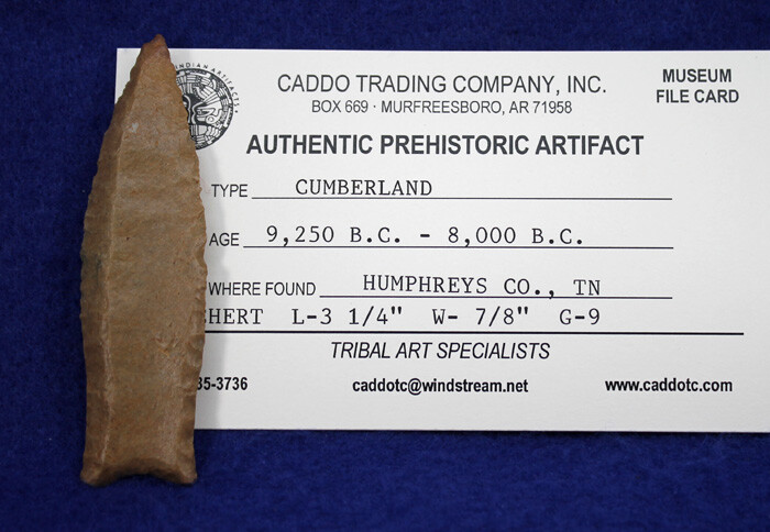 RARE Cumberland Point COA Authentic Prehistoric Arrowhead Native ...