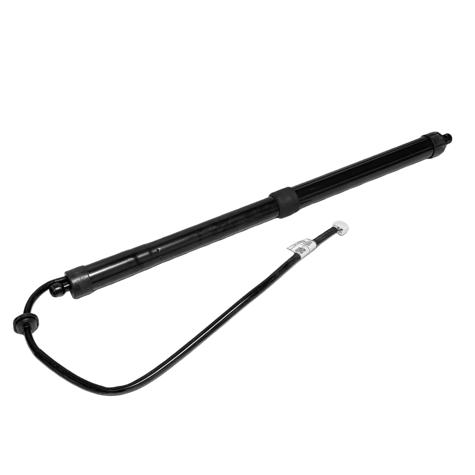 Rear Right Tailgate Power Lift Support Strut Fit For Lexus RX350L ...