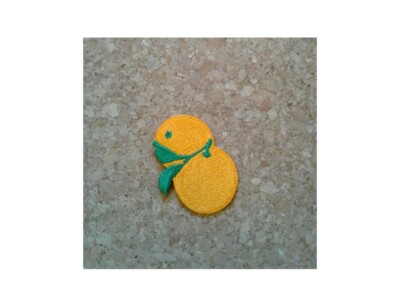 Fruit - Orange - Citrus - Florida - Crafts - Embroidered Iron On Patch ...