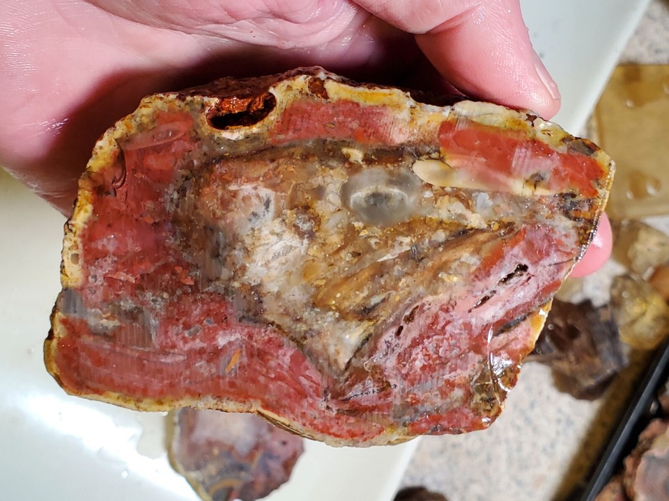 Pink Royal Jasper Rough Chunk Orbicular Mexico Jasper 572g Lapidary ...
