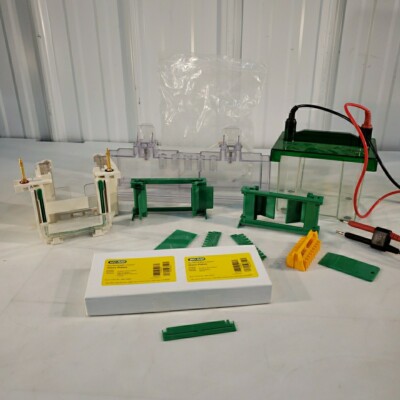 Bio Rad Mini PROTEAN 3 SDS-PAGE Gel Electrophoresis Rig System With ...