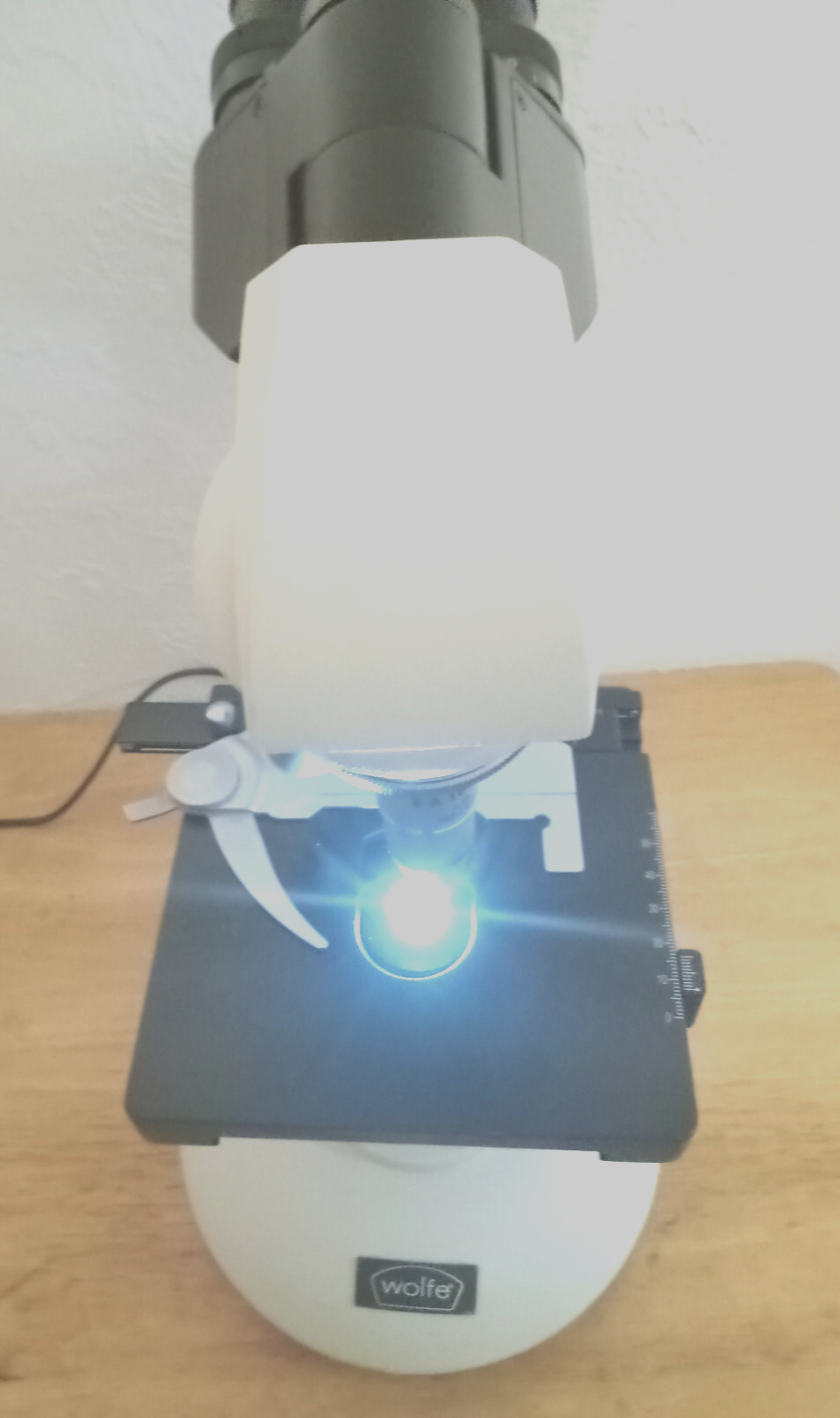 Wolfe LED Binocular Microscope (Carolina Contour) | eBay