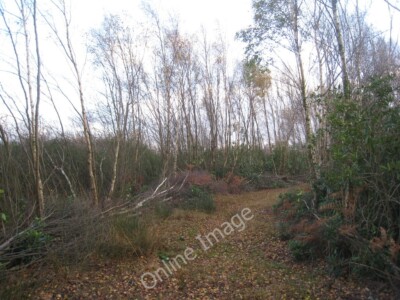 Photo 6x4 Bend in the track Moorends Thorne Waste is dominated by the ...