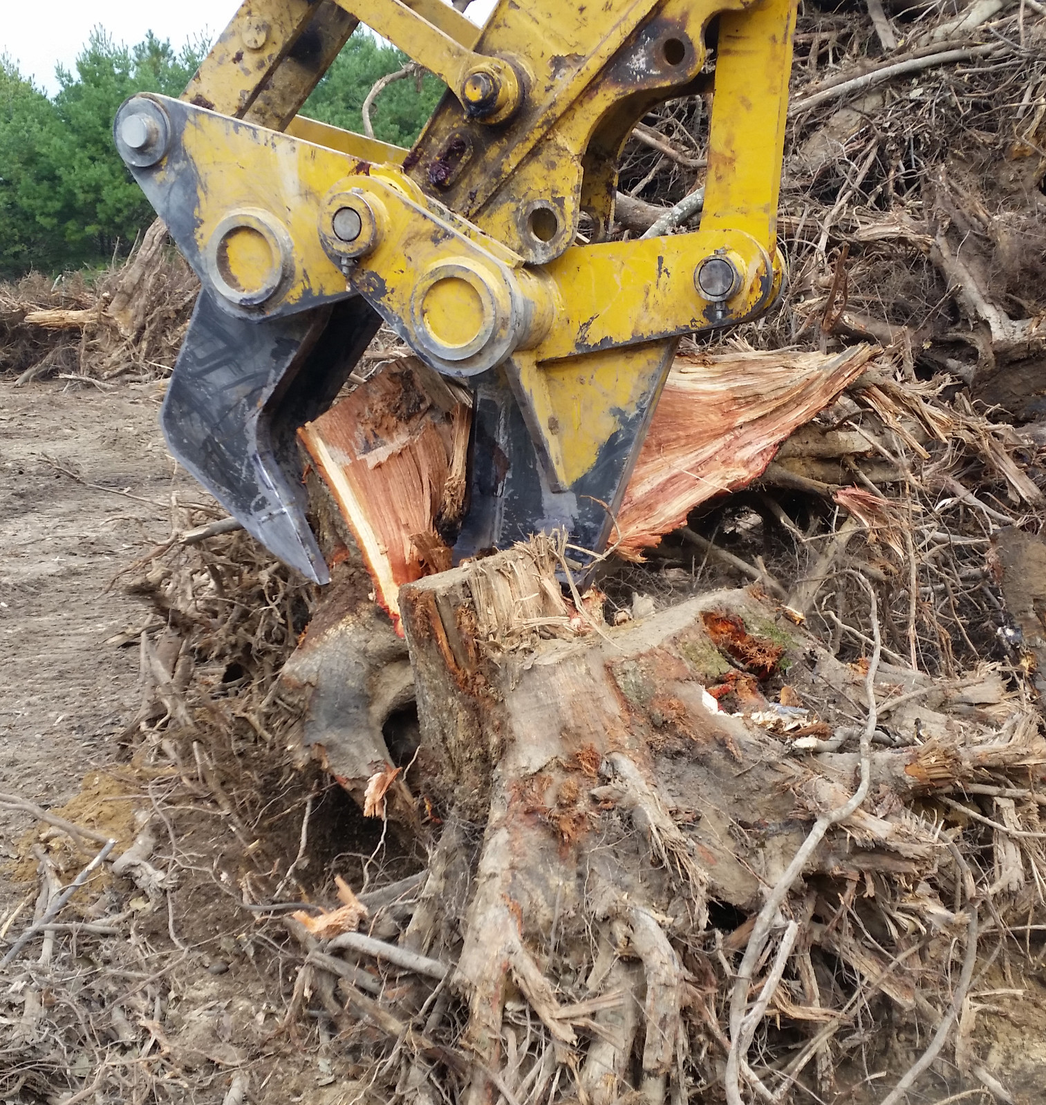 Ransome Mechanical Stump Harvestor / excavator stump splitter model ...